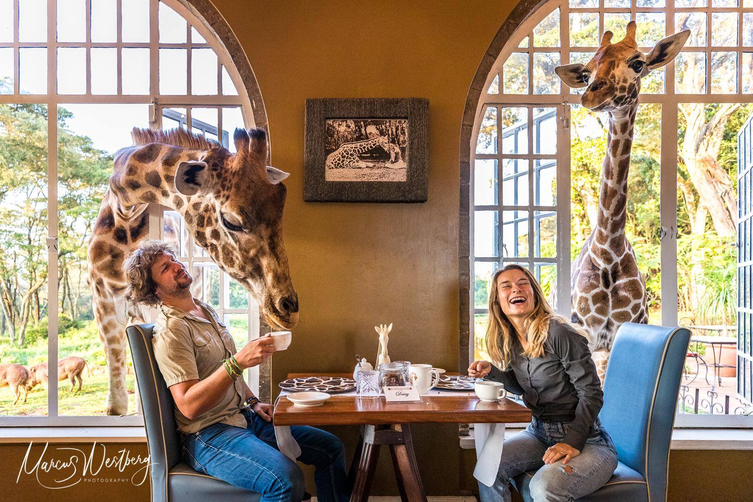 Giraffe Manor – Kenya’s Most Iconic Luxury Lodge - Paul Tours Safari